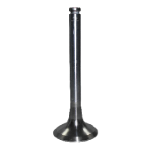 SA 541 050 0227 (Engine Valve)